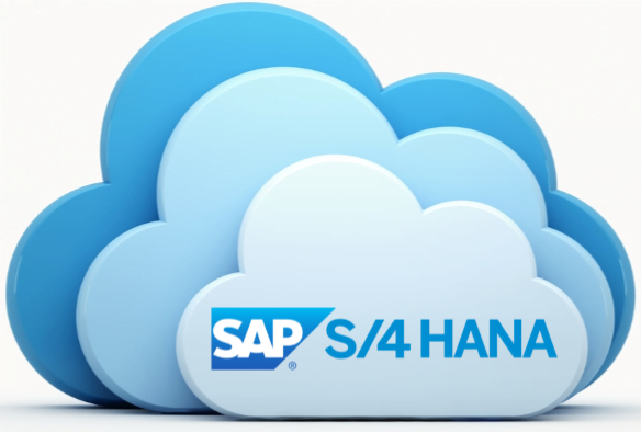 SAP S/4 HANA on GCP | DevSamurai